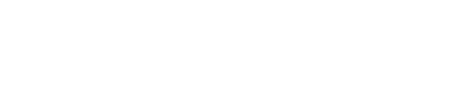 Website & E-shop - Satrap Web Services